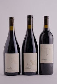 Willful Wine Co - Homepage